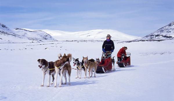 Abisko Alaska Trapper tour - Kiruna Lappland
