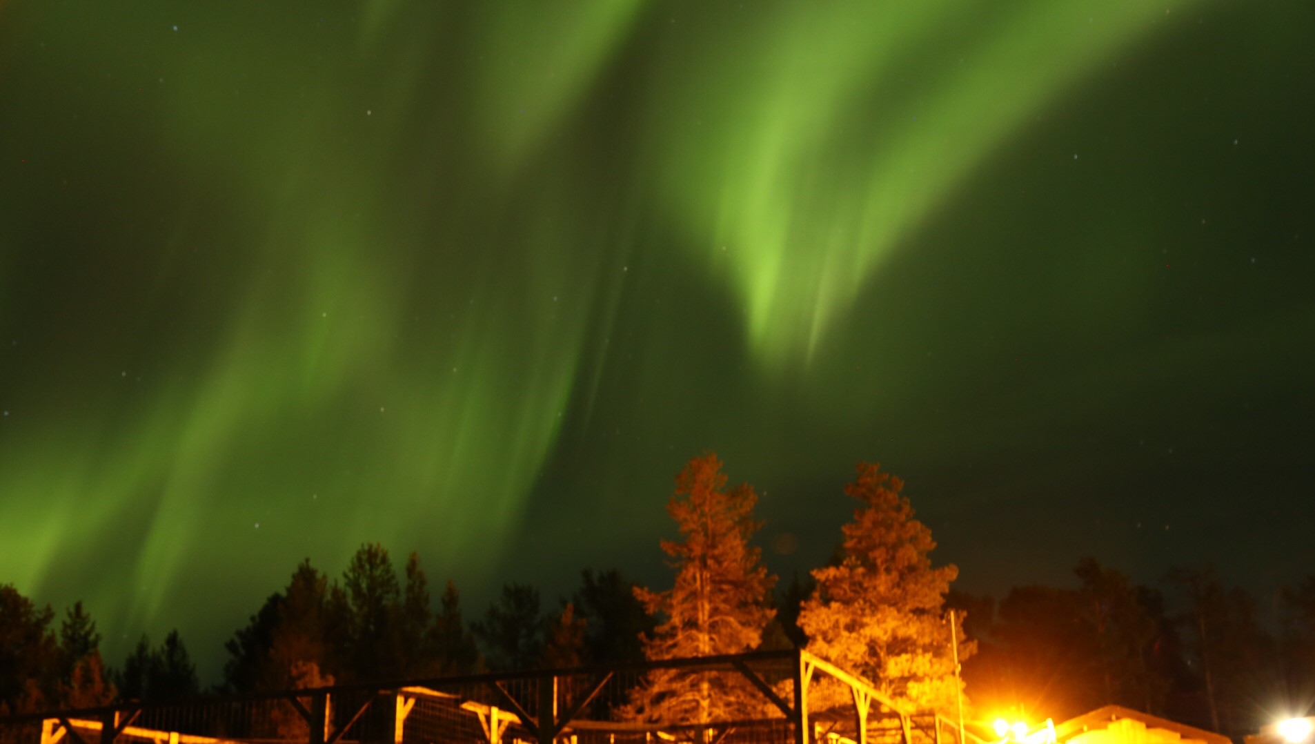 Chase the northern lights on snowmobile - Kiruna Lappland