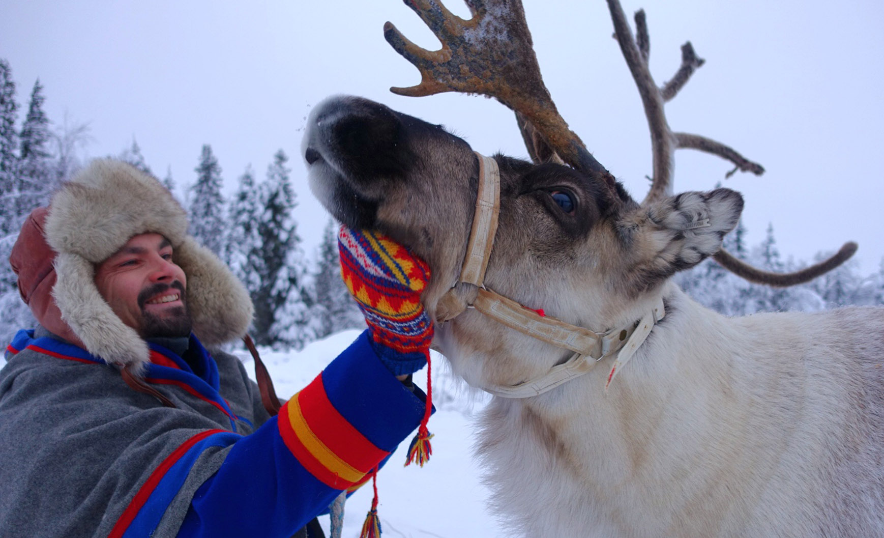 Sámi Adventure Day Tour Kiruna Lappland